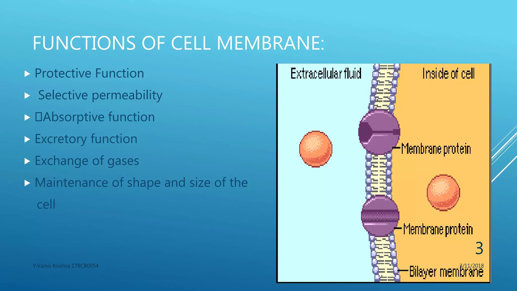 Transport across cell membrane | PPTX | Chemistry | Science