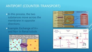 Transport across cell membrane | PPTX