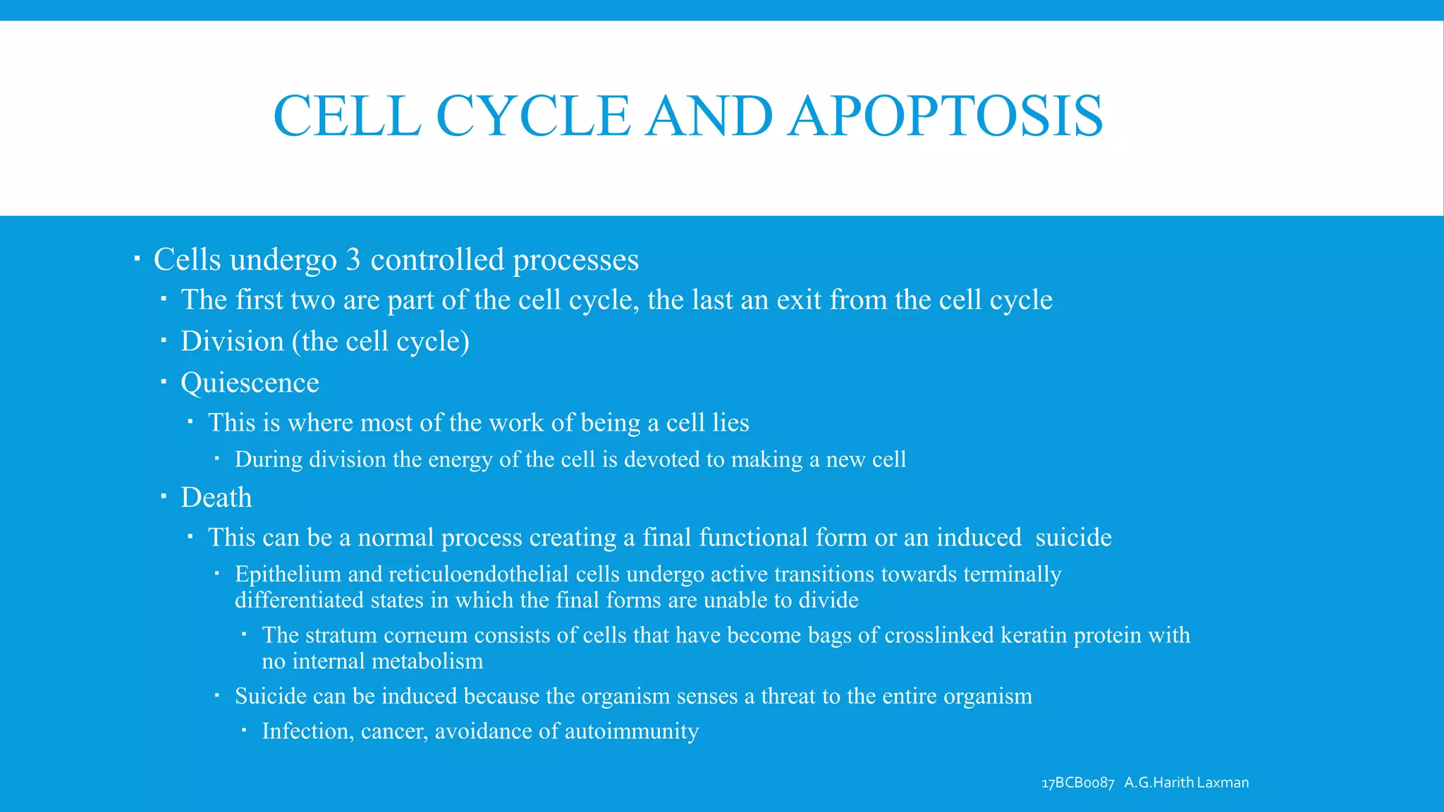 Cell Cycle Regulations | PPT