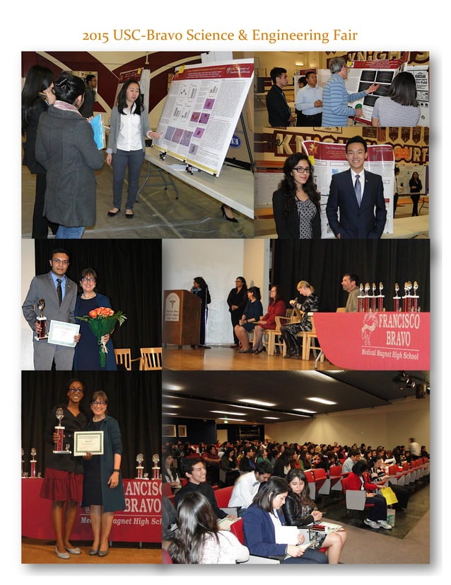 Science Fair Newsletter | PDF