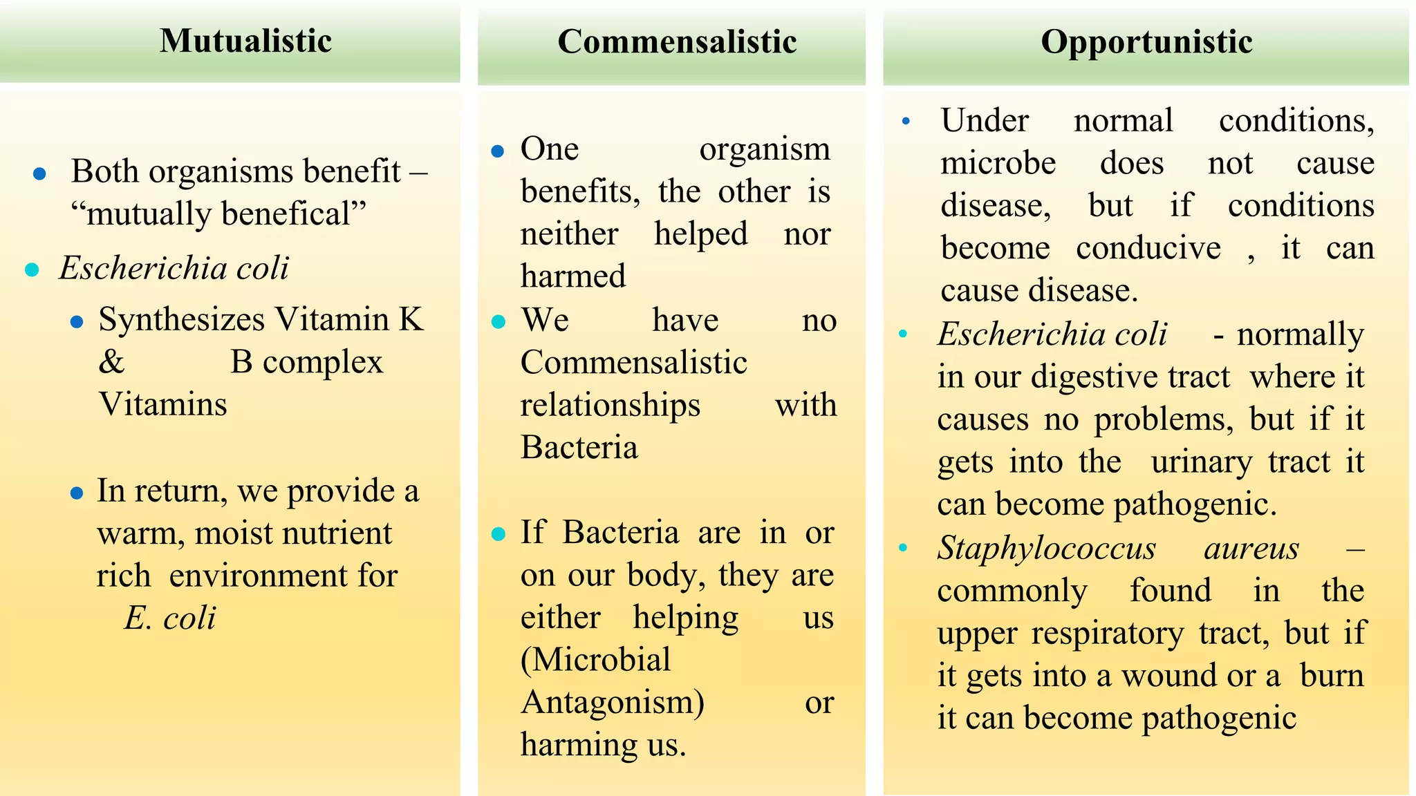 Normal Microbial Flora in Human Body | PPTX
