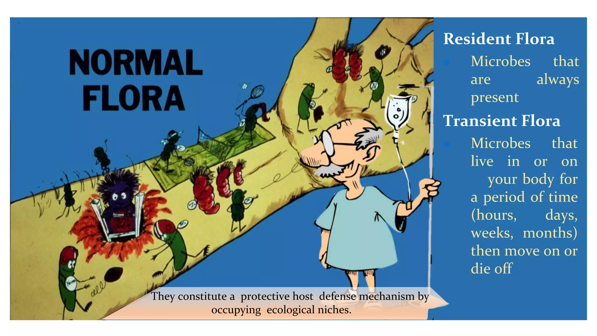 Normal Microbial Flora in Human Body | PPTX
