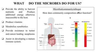 Normal Microbial Flora in Human Body | PPTX
