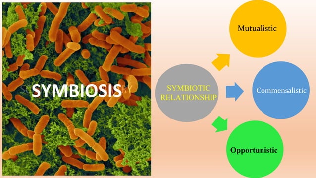 Normal Microbial Flora in Human Body | PPTX