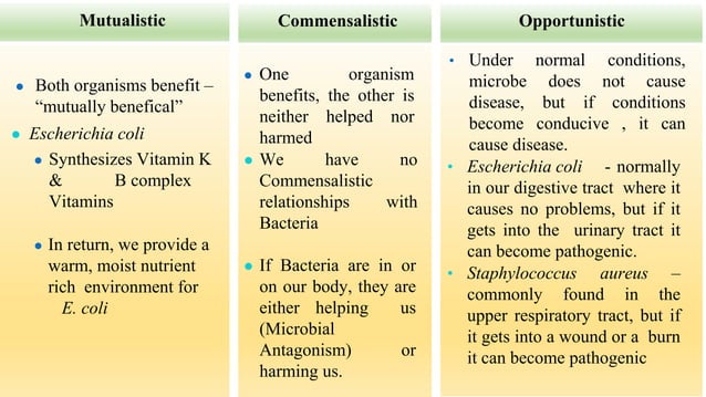 Normal Microbial Flora in Human Body | PPTX