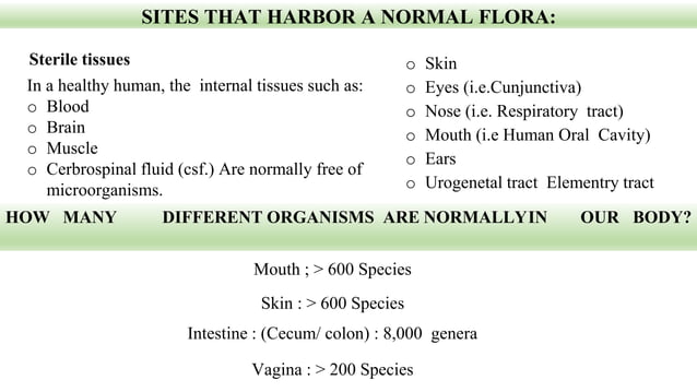 Normal Microbial Flora in Human Body | PPTX