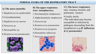 Normal Microbial Flora in Human Body | PPT