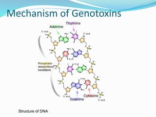 genotoxic_impurities-Gowtham | PPTX