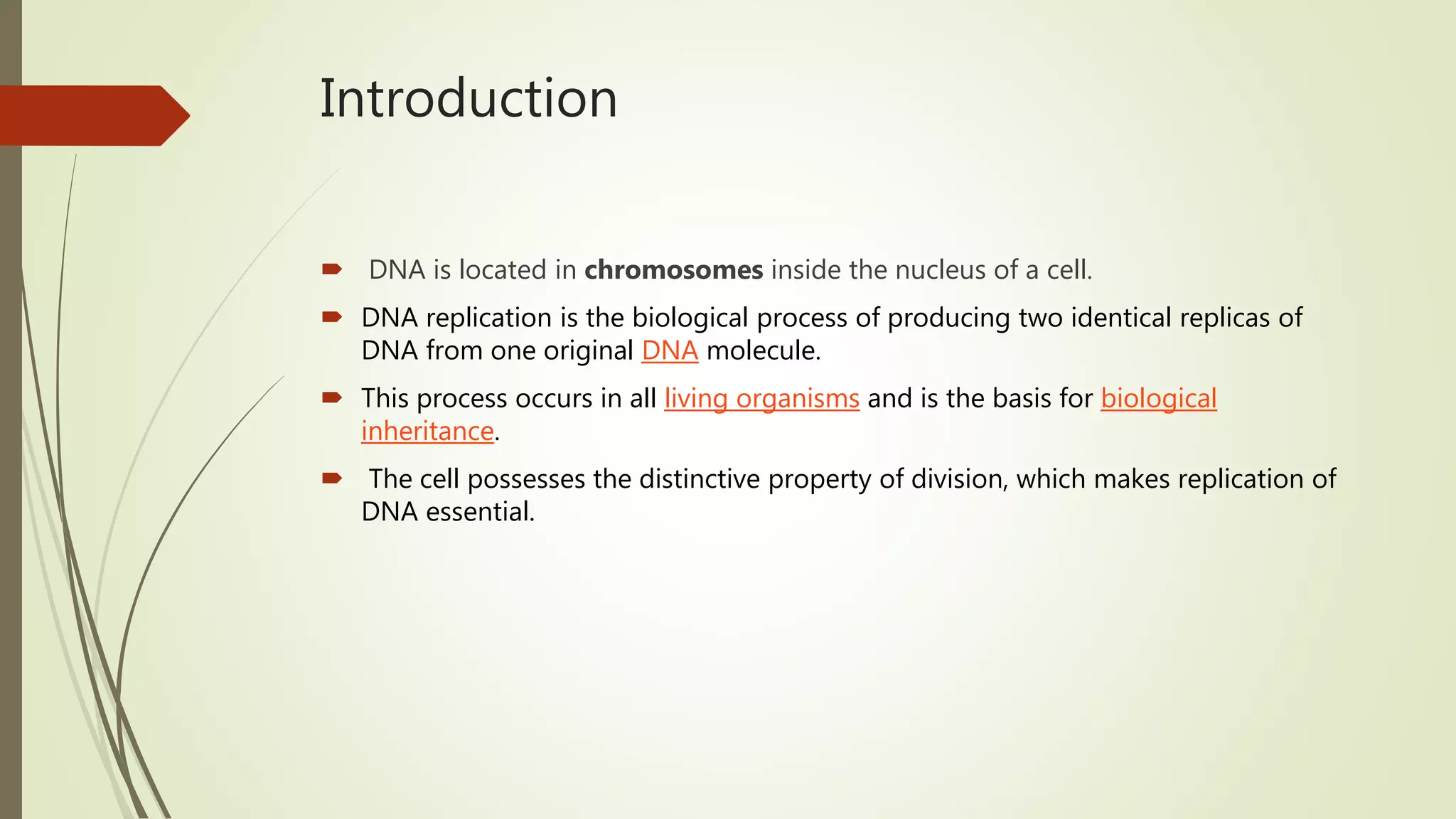 DNA Replication | PPTX