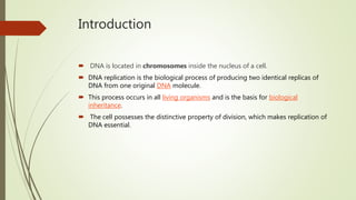 DNA Replication | PPTX