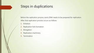 DNA Replication | PPTX