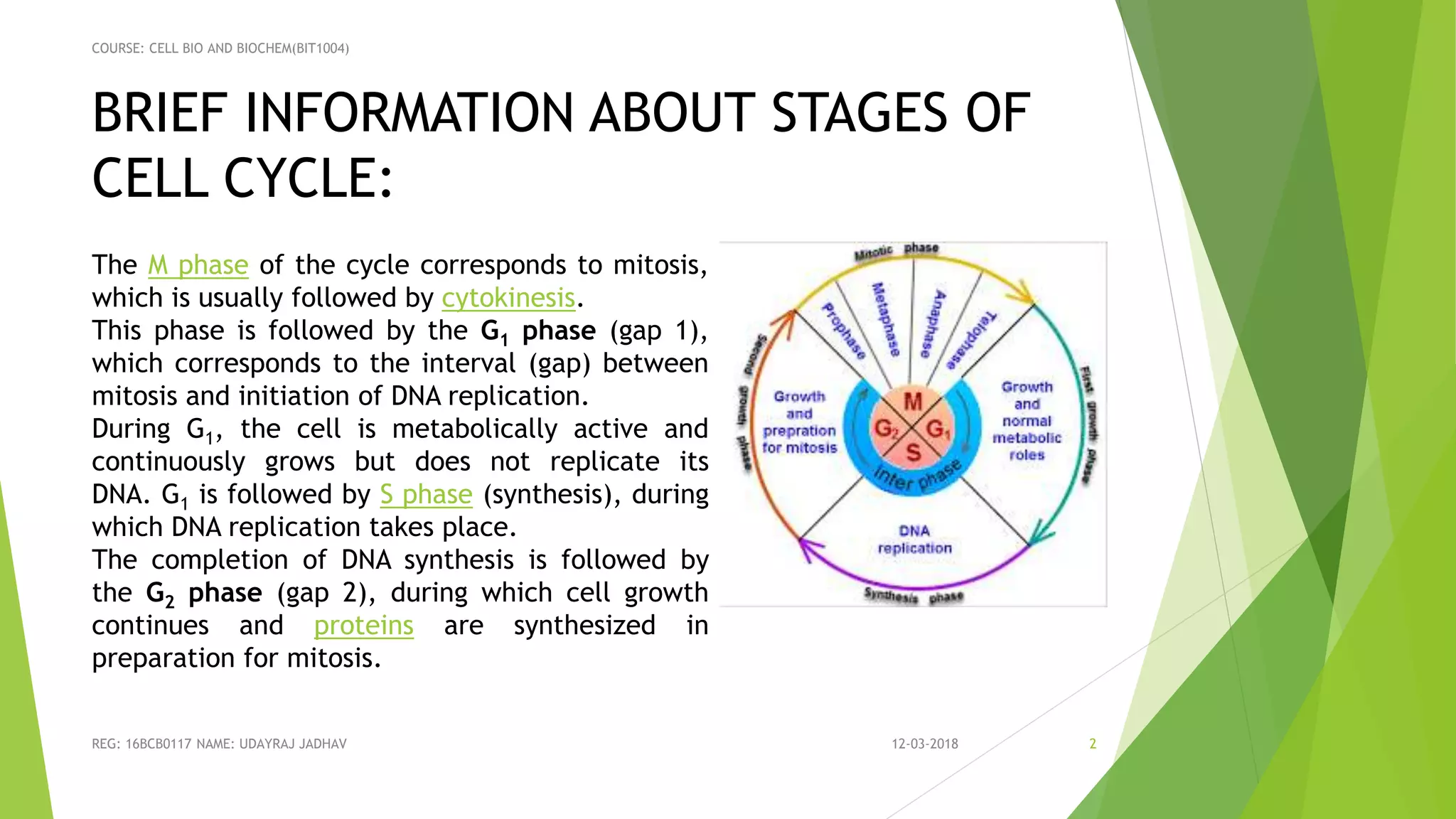 REGULATION OF CELL CYCLE | PPTX
