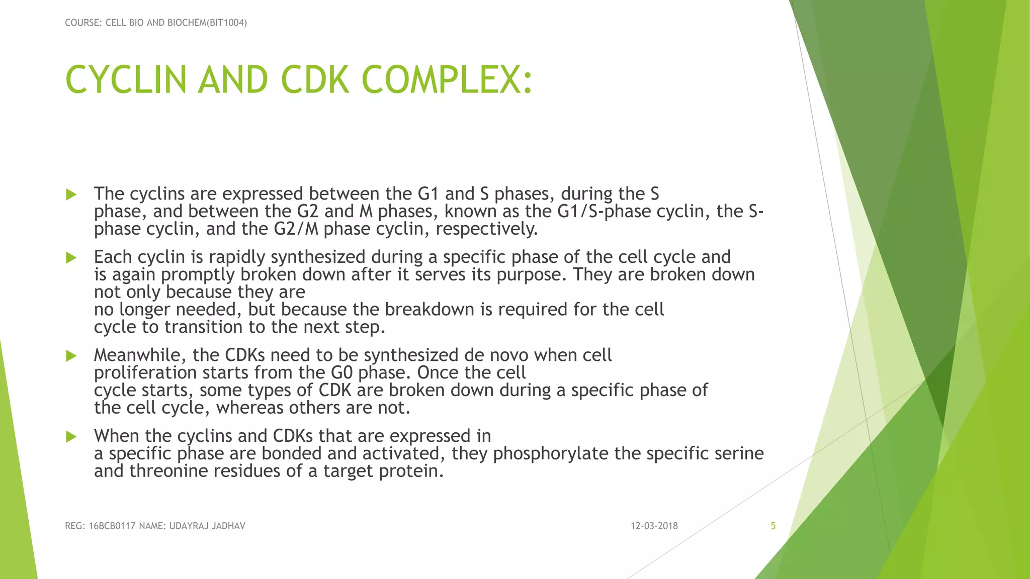 REGULATION OF CELL CYCLE | PPTX