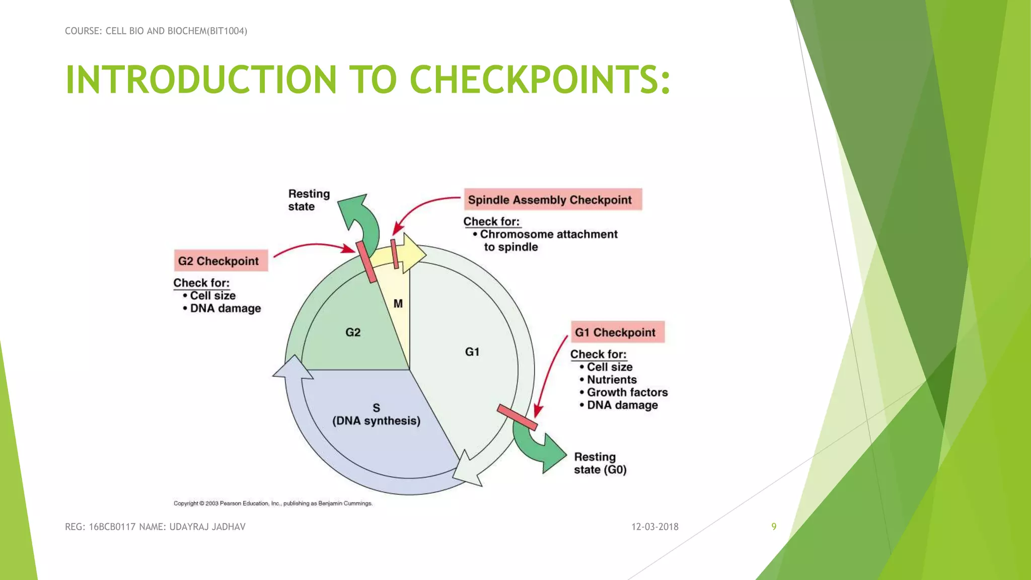 REGULATION OF CELL CYCLE | PPTX