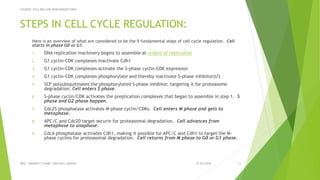REGULATION OF CELL CYCLE | PPTX | Biological Sciences | Science