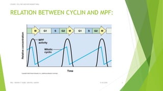 REGULATION OF CELL CYCLE | PPTX | Biological Sciences | Science