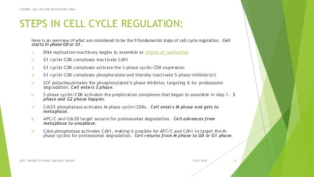 REGULATION OF CELL CYCLE