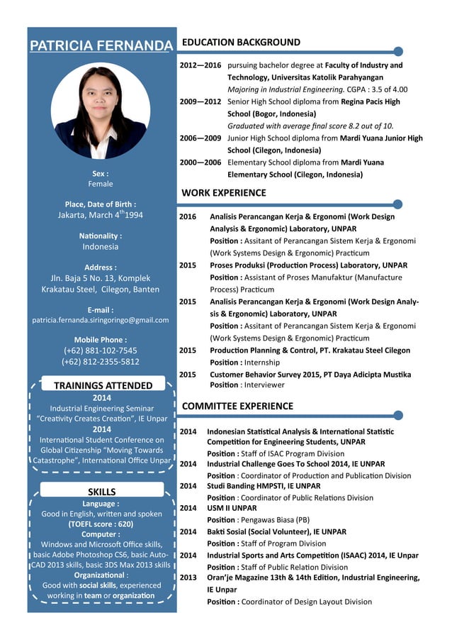 CV_PatriciaFernanda | PDF