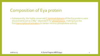 Eya phosphate - the cancer prevention role | PPT