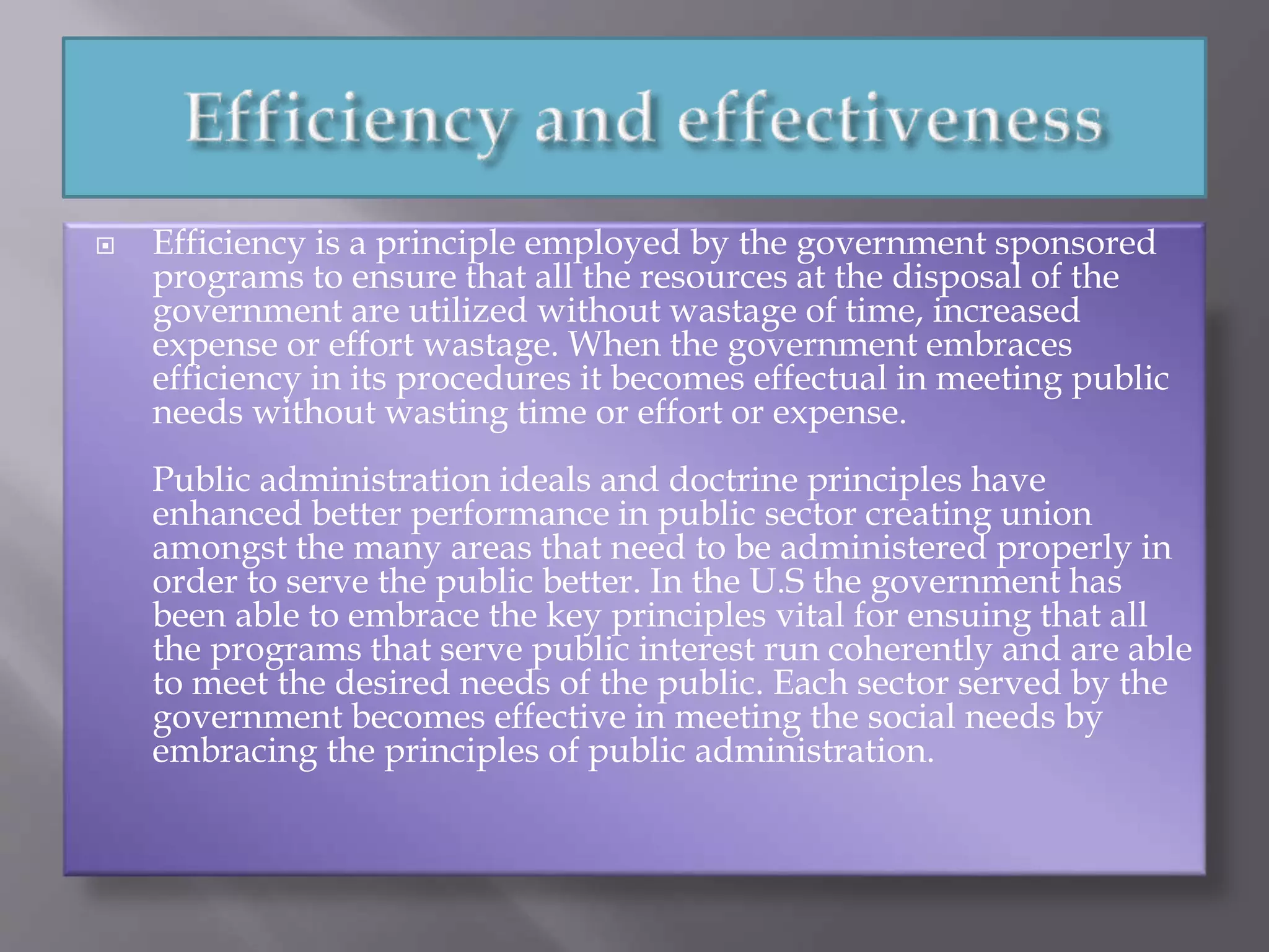 Principles of Public Administration and their usage for | PPTX