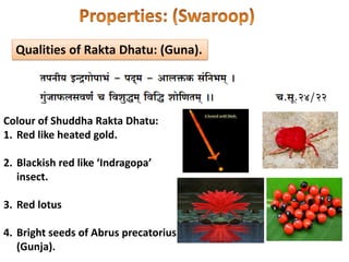 Rakta_Dhatu is the second dhatu from saptadhatwagni | PDF
