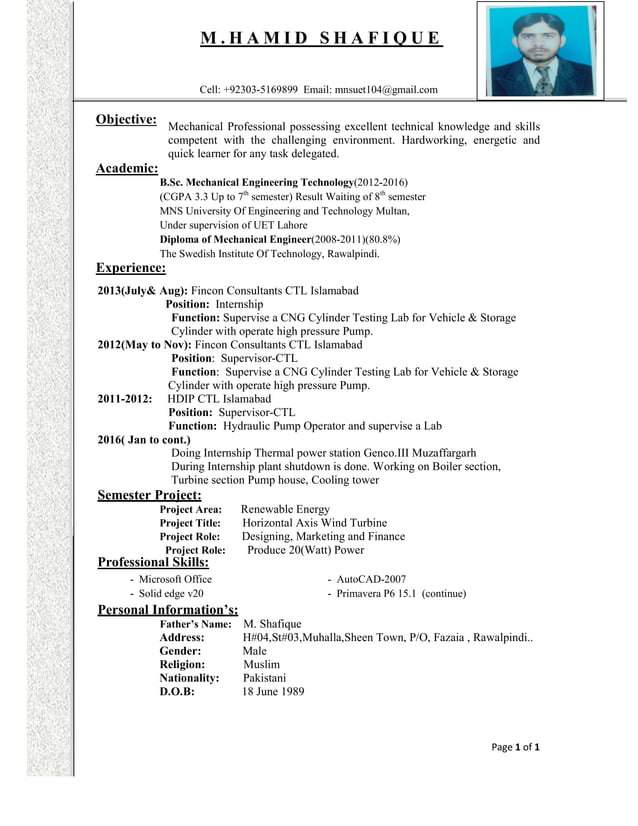 Microsoft Word - Hamid cv 11 | PDF