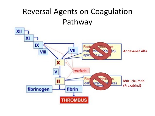 NOAC Reversal Agents