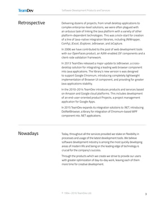 TeamDev-Company_Profile | PDF | Web Development | Internet