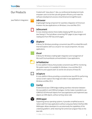 TeamDev-Company_Profile | PDF | Web Development | Internet