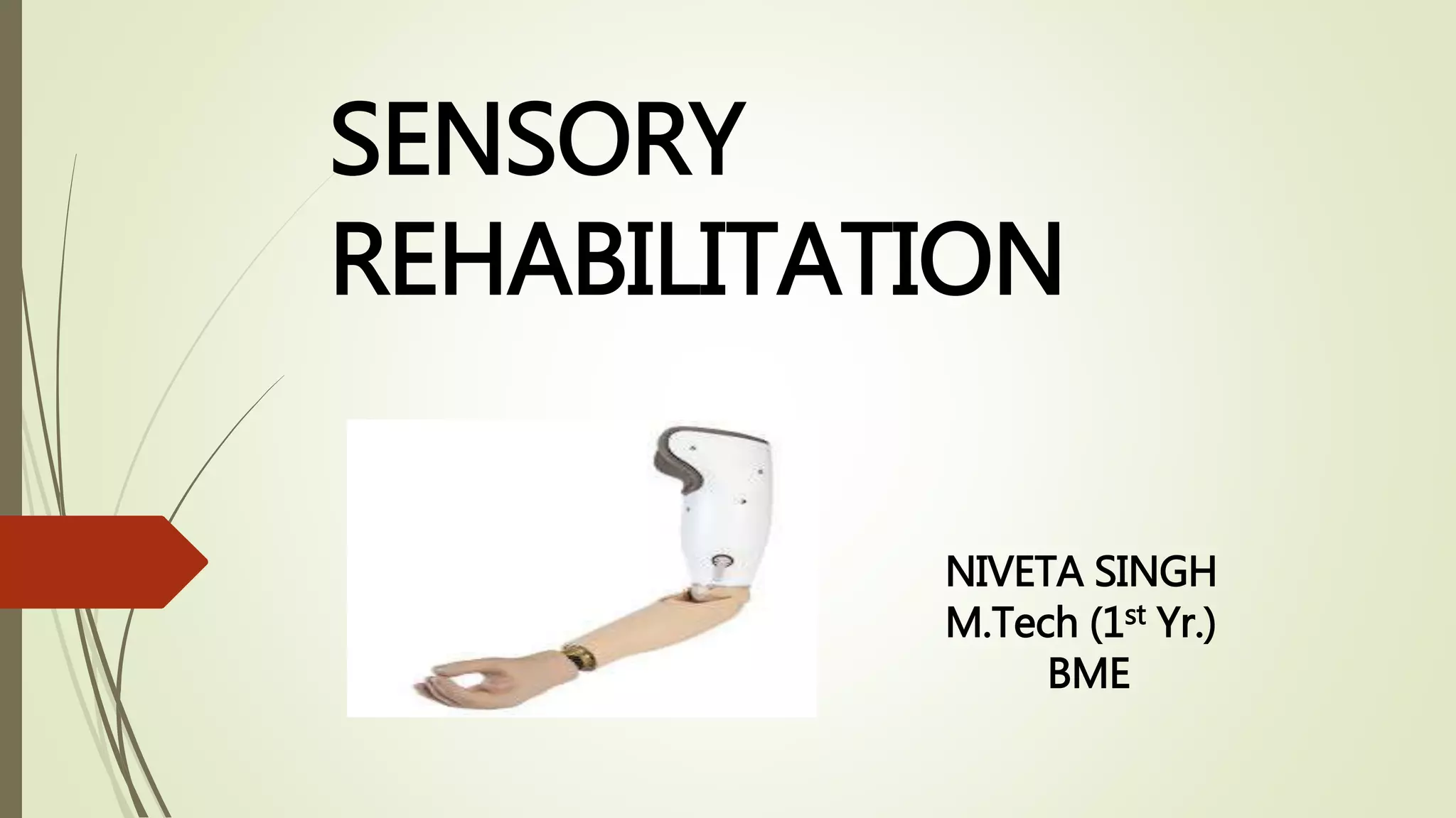 Sensory Rehabilitation | PPTX