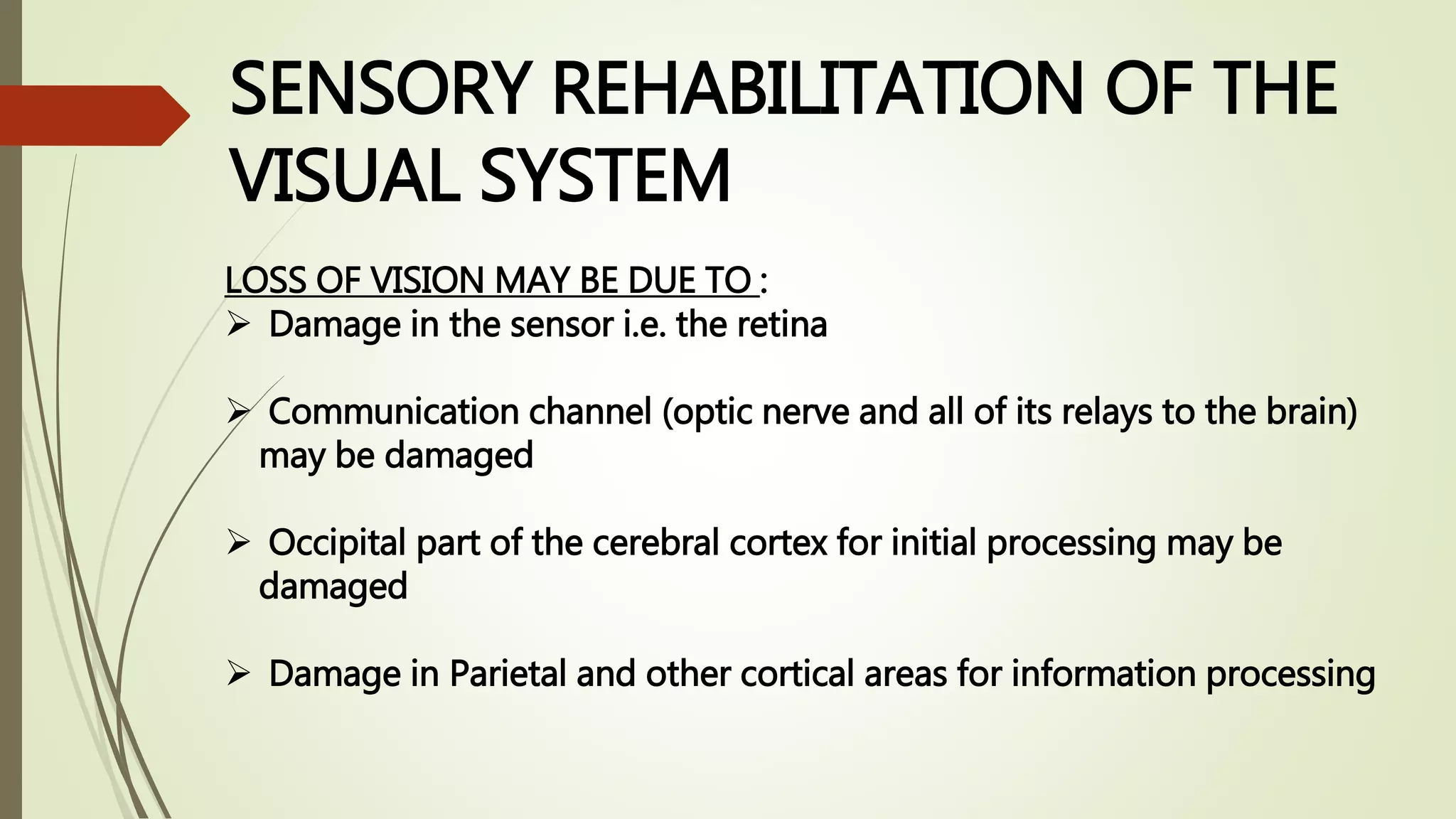 Sensory Rehabilitation | PPTX
