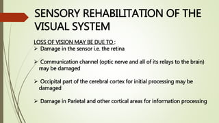 Sensory Rehabilitation | PPTX