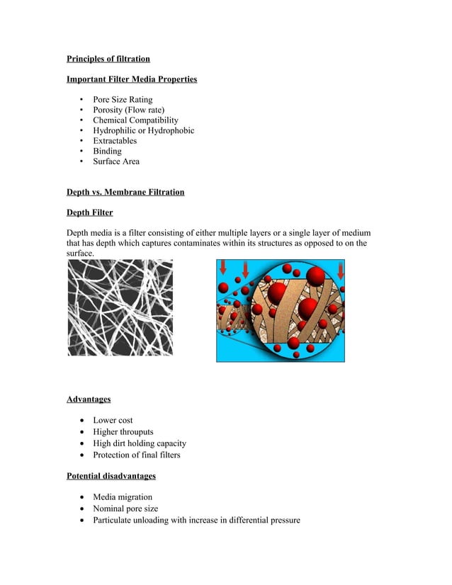 Principles of filtration | DOC | Chemistry | Science