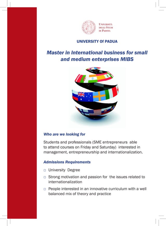 MIBS-brochure | PDF