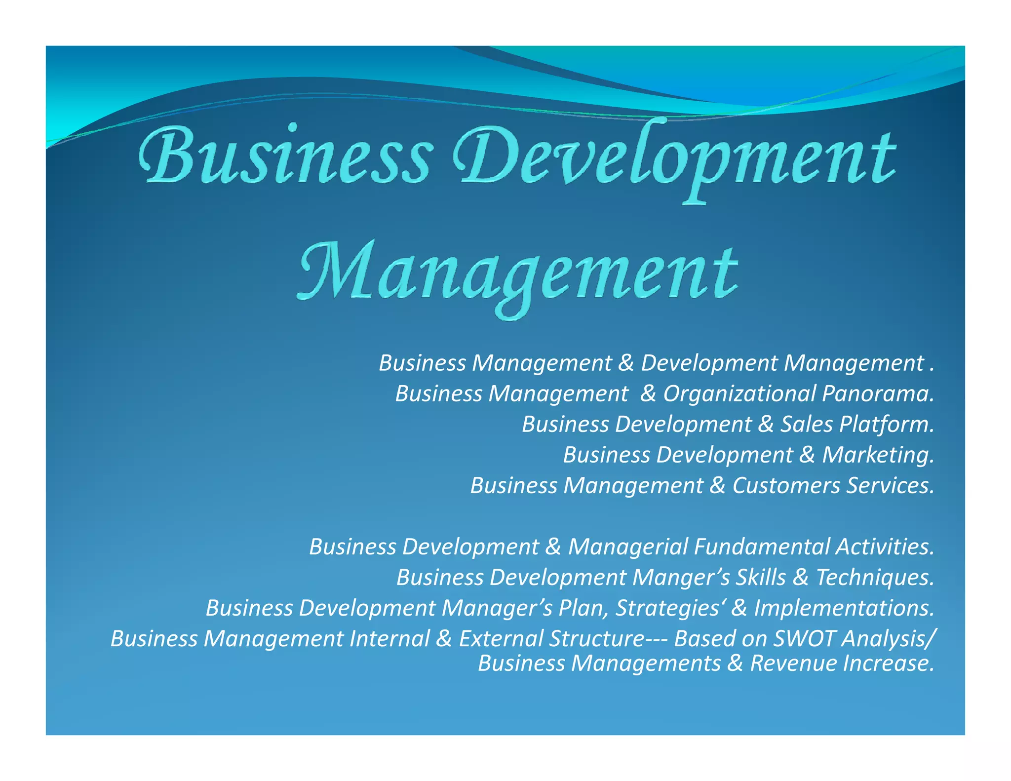Business Development Management | PDF