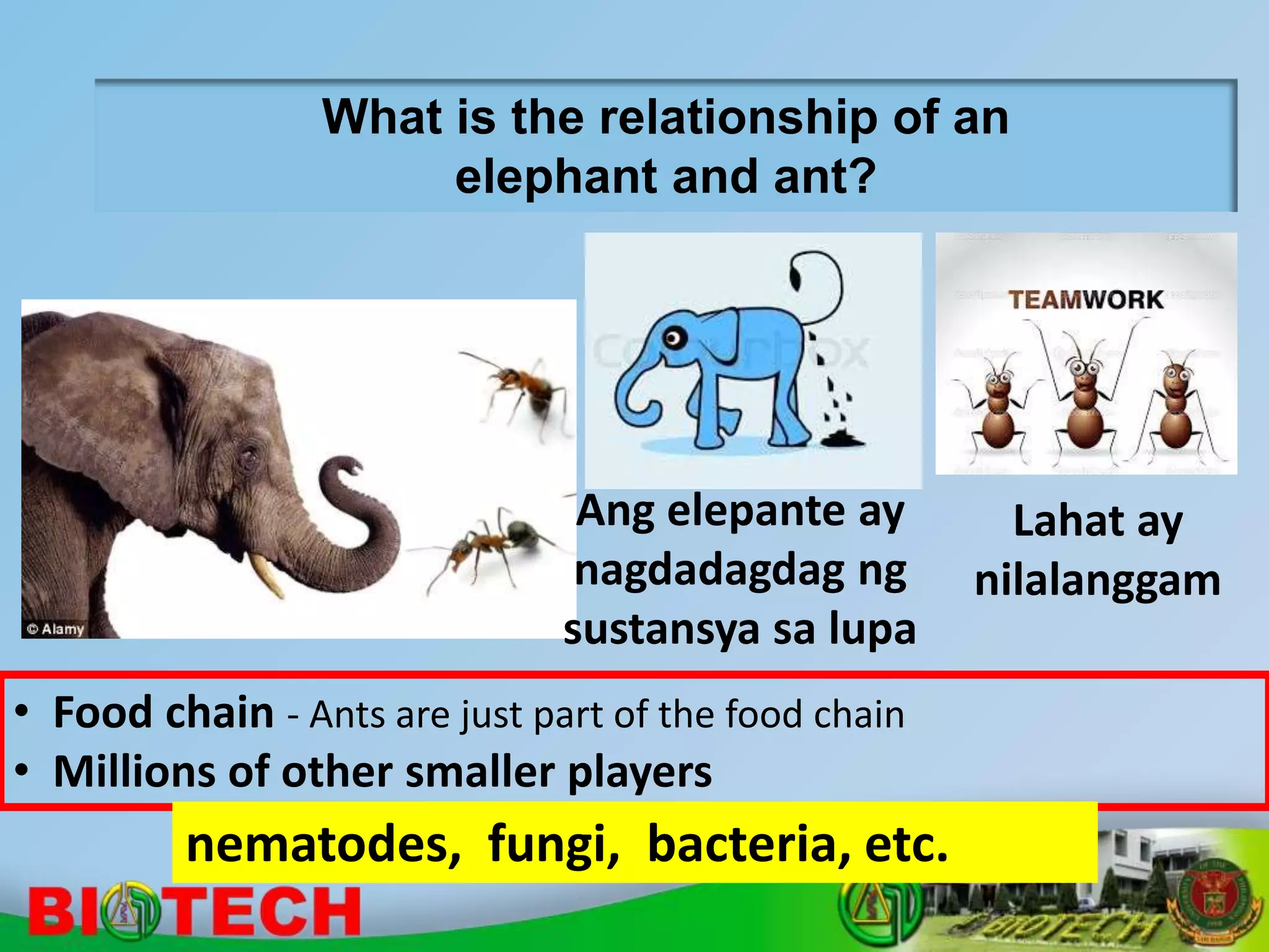 Application of Mykovam to Coconut and Introduction to MykoPlus | PPTX