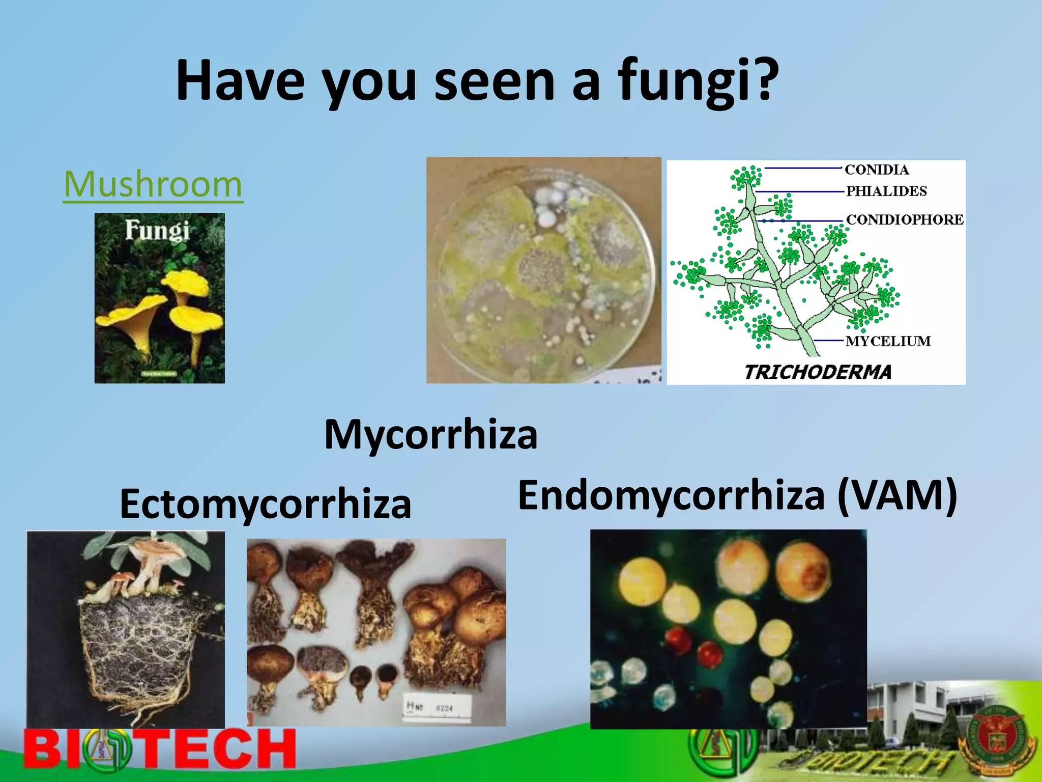 Application of Mykovam to Coconut and Introduction to MykoPlus | PPTX