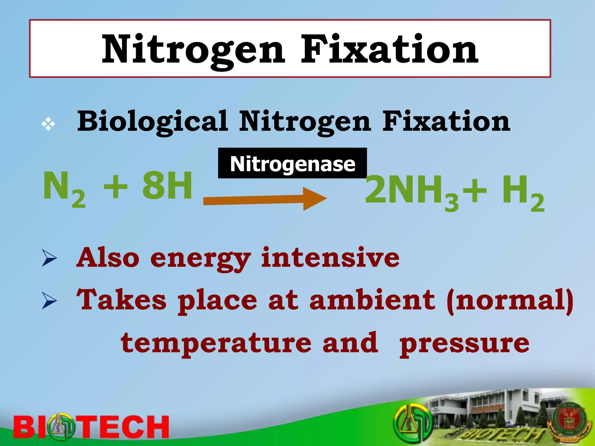 Application of Mykovam to Coconut and Introduction to MykoPlus | PPTX