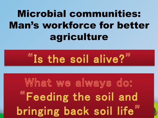 Application of Mykovam to Coconut and Introduction to MykoPlus | PPTX ...