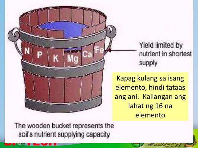 Application of Mykovam to Coconut and Introduction to MykoPlus | PPTX ...