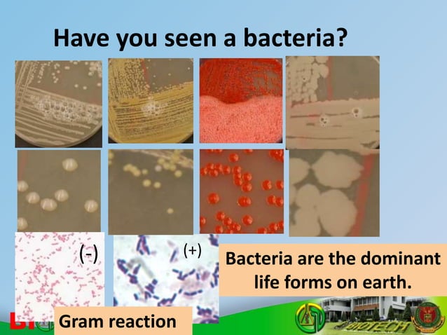 Application of Mykovam to Coconut and Introduction to MykoPlus | PPTX ...