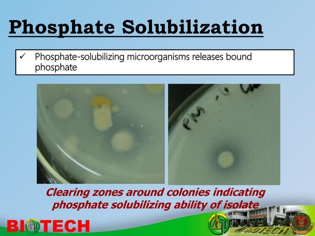 Application of Mykovam to Coconut and Introduction to MykoPlus | PPTX ...