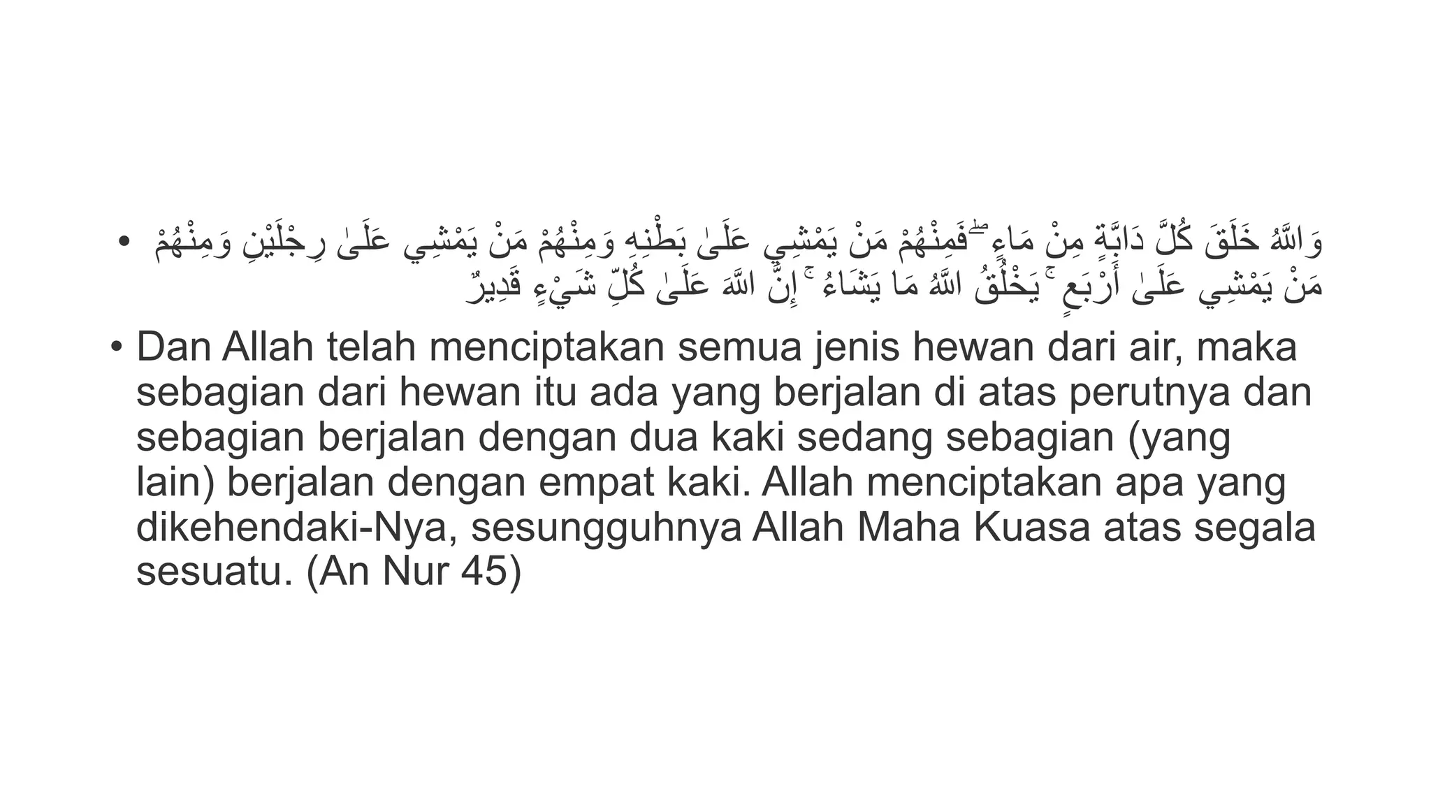 Dabbah dan Ya'juz ma'juz.pptx