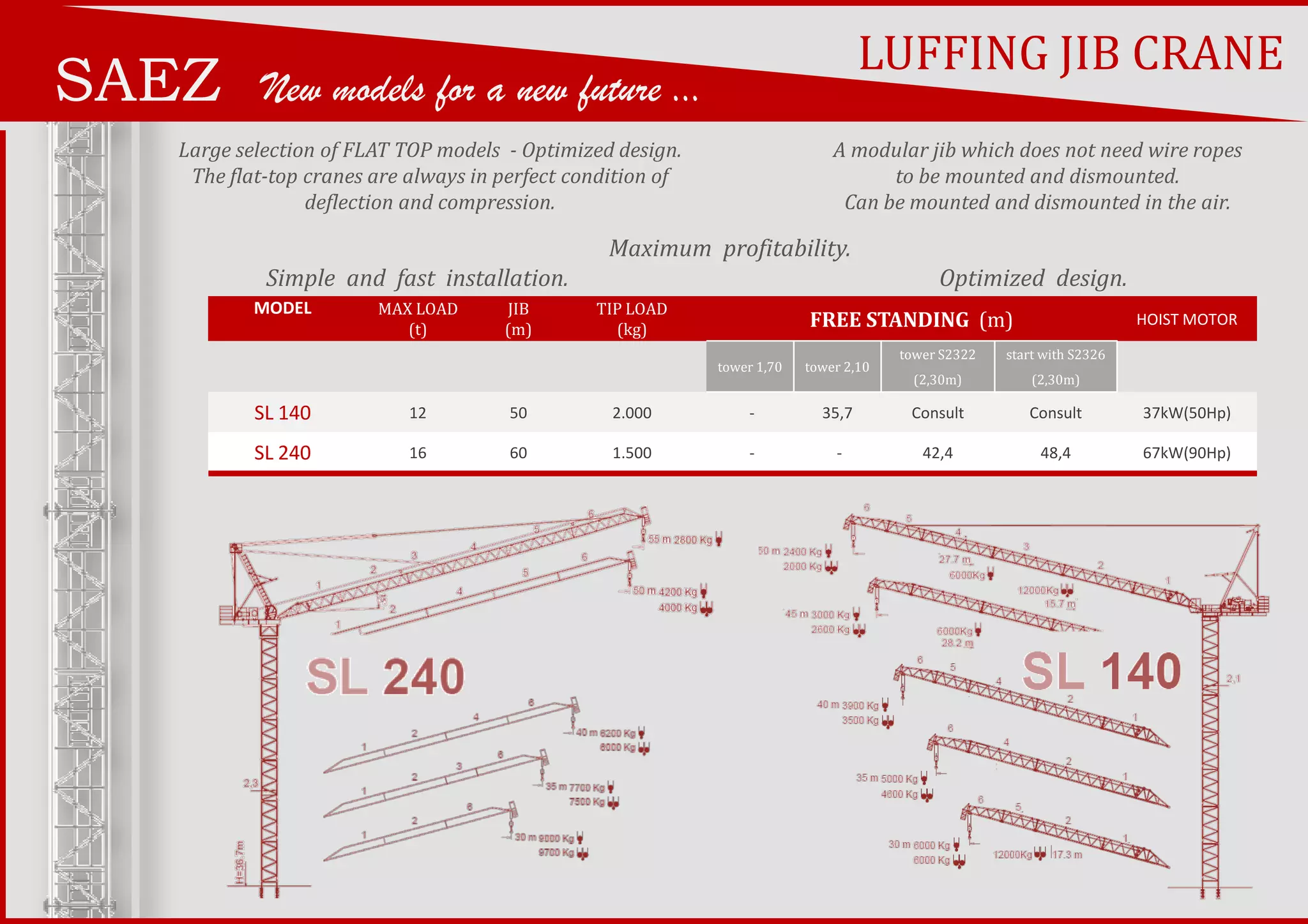 SAEZ PRESENT CRANES_ English | PPT