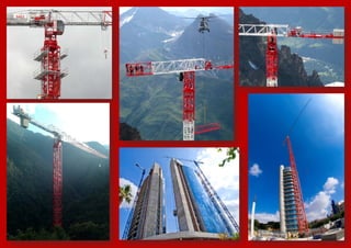 SAEZ PRESENT CRANES_ English | PDF