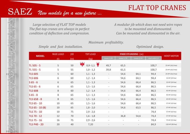 SAEZ PRESENT CRANES_ English | PPT