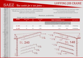 SAEZ PRESENT CRANES_ English | PPT