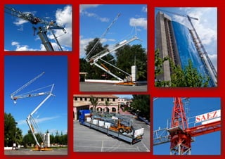 SAEZ PRESENT CRANES_ English | PPT