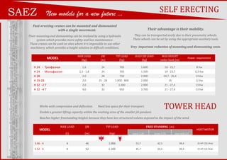 SAEZ PRESENT CRANES_ English | PPT