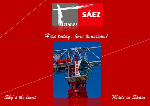 SAEZ PRESENT CRANES_ English | PPT
